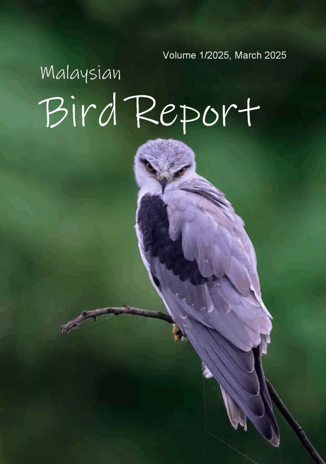 Malaysian Bird Reports - Bird Ecology Study Group